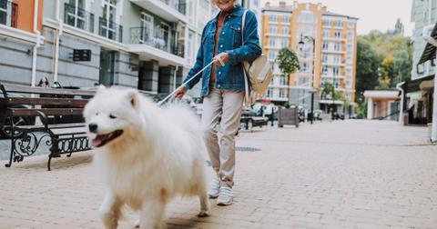 The Worst Shedding Dog Breeds, From Akitas to Chow Chows
