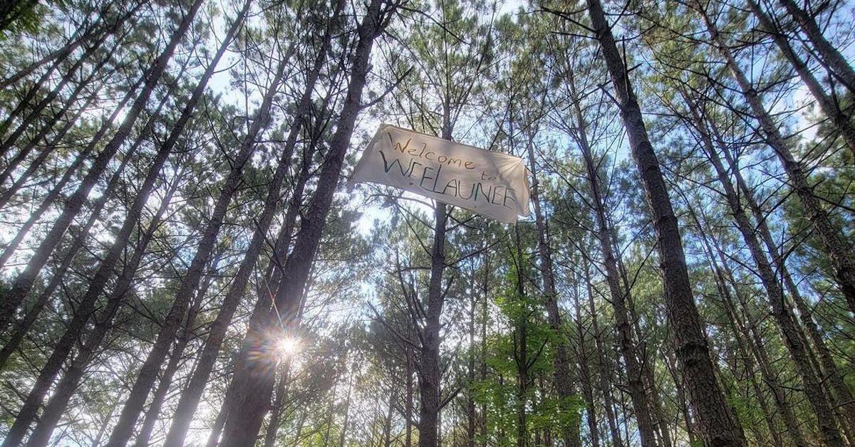 Atlanta Forest Defenders: What to Know About the Cop City Protests