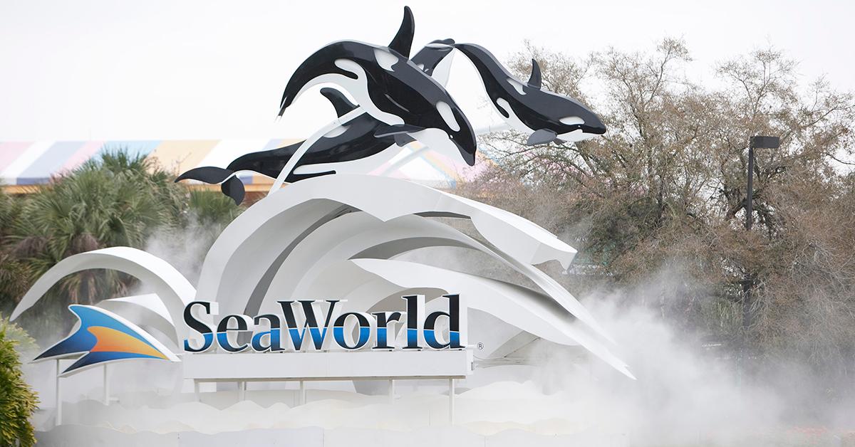 Seaworld Shuts Down Its Remaining “Shamu” Attraction