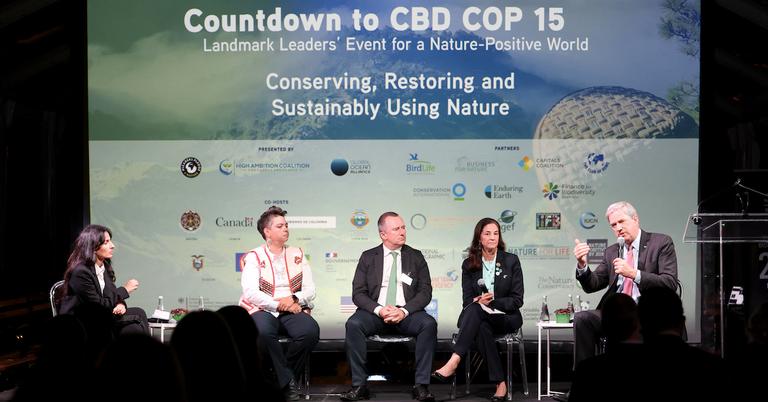 Kunming-Montreal Global Biodiversity Framework and 30 by 30: What to Know