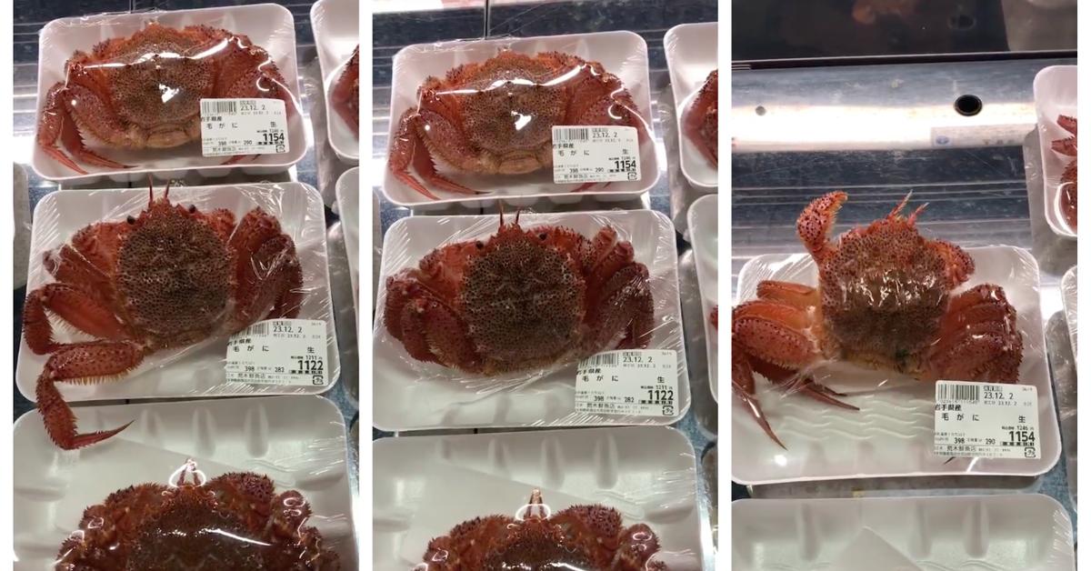 Video Shows Live Crabs Escaping Package in Fish Market