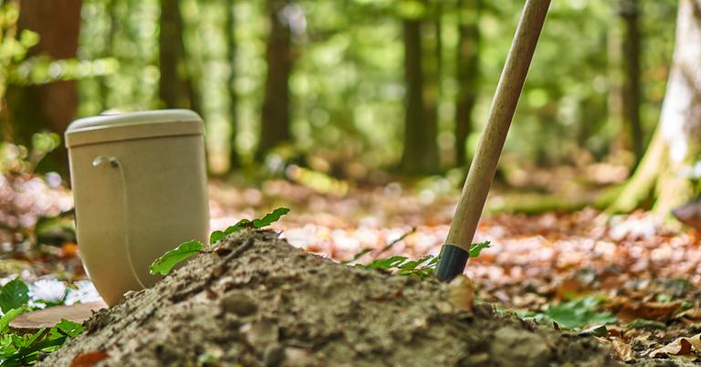 Organic Burial Pods: Everything You Need to Know