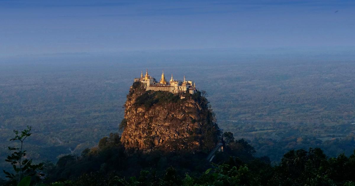 The Popa Langur Was Found to Be Endangered Shortly After Its Discovery