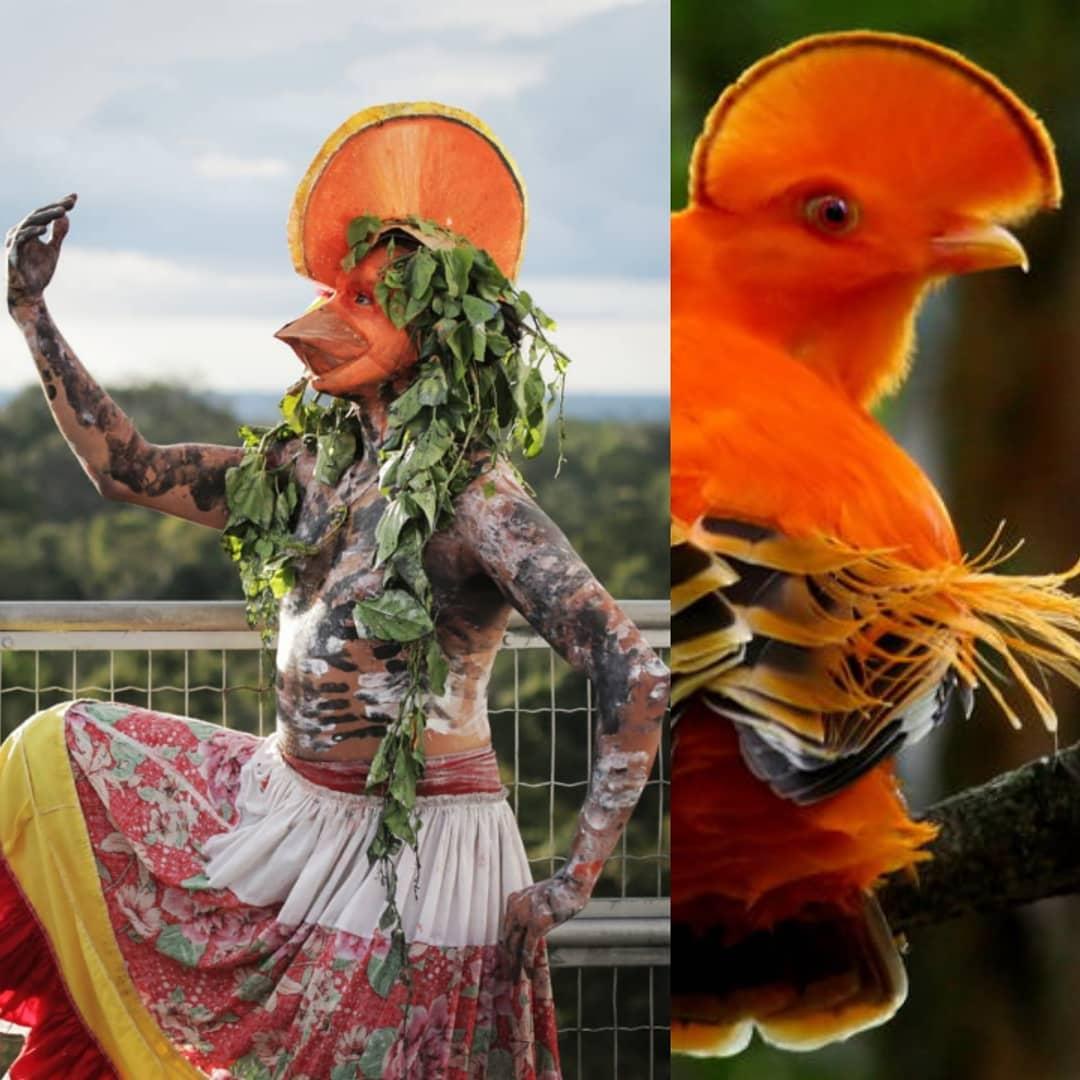 Brazilian Drag Queen Teaches Kids About The Amazon Rainforests