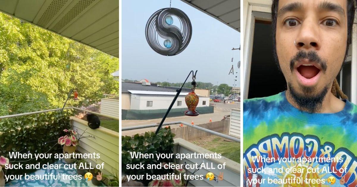 Viral Video Shows Result of Clear Cutting Trees From an Apartment Backyard
