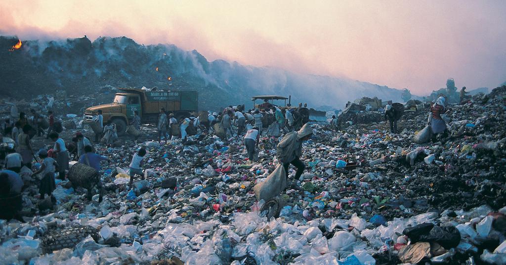 What Are the Three Pillars of Sustainability? They Affect Our Daily Lives