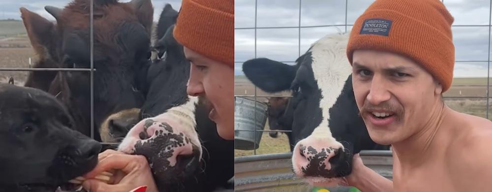 Elias and His Cow Bestie Are Captivating the Internet