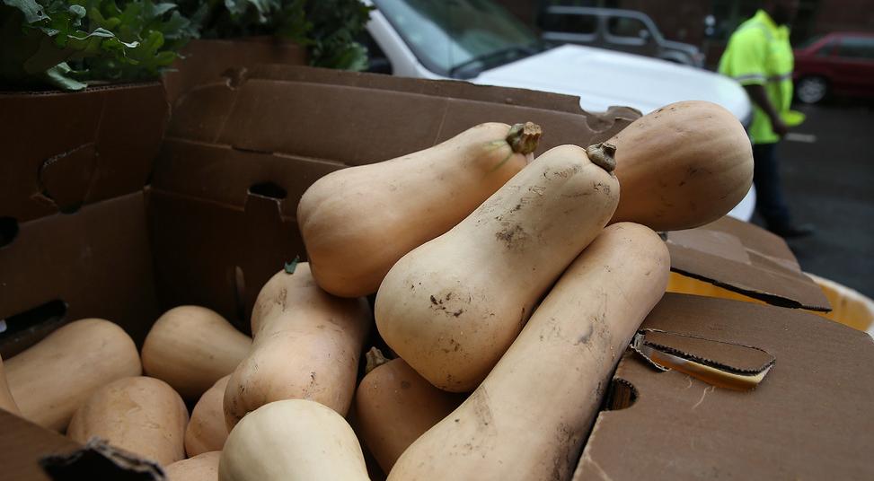 Is Cardboard Biodegradable? What to Do With Your Amazon Boxes