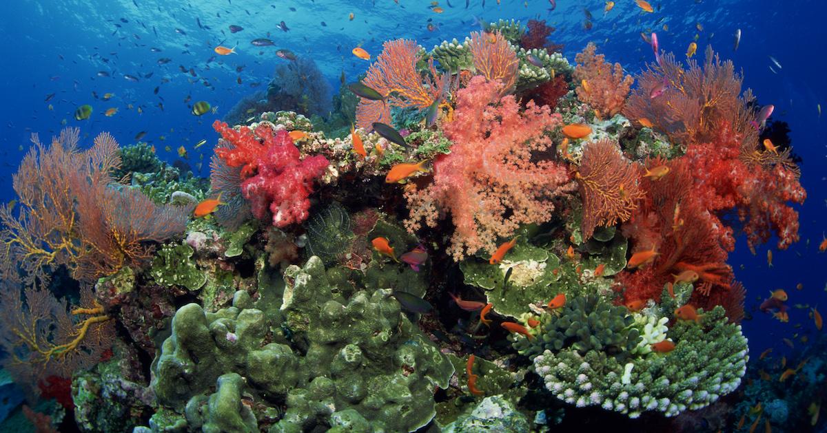 Tipping Points of Climate Change: Study Finds We Are Inching Closer