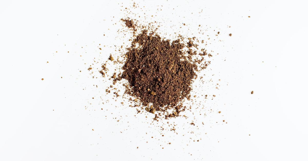 Soil vs. Dirt: The Differences, According to Soil Scientists