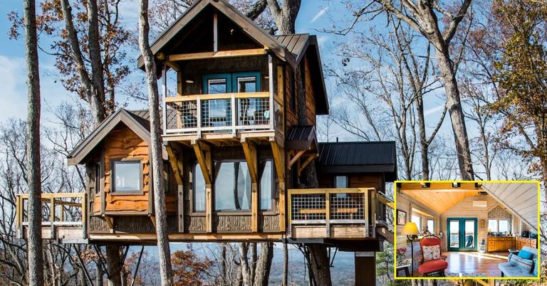 These Are the Best and Most Unique Airbnb Treehouses in the U.S.