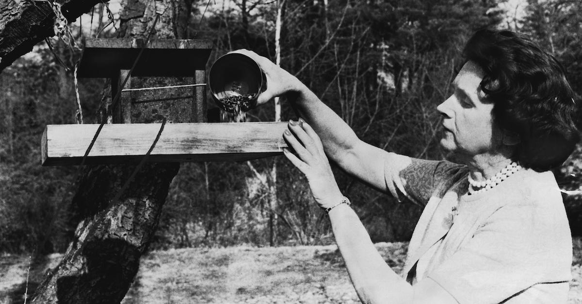 Who Was ‘Silent Spring’ Author Rachel Carson? She Changed Ecology Forever