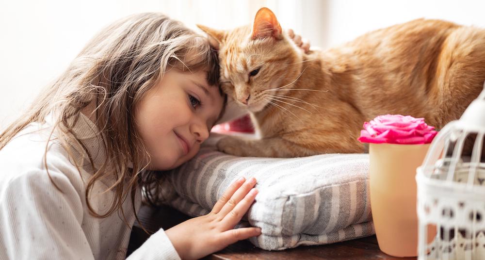 Why Does My Cat Headbutt Me Kitty Behaviors Explained