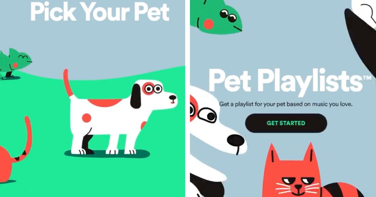 How To Get a Spotify Playlist for Your Pet