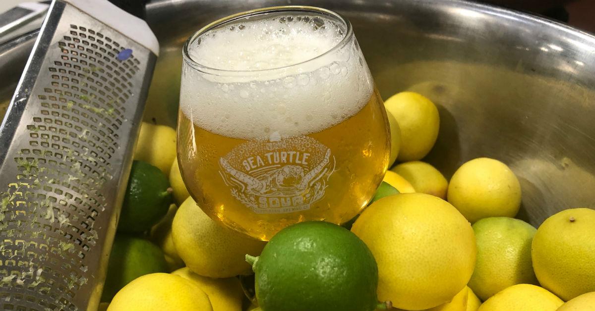 Coppertail Brewing's Sea Turtle Sour Beer Benefits Endangered Species