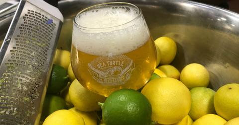 Coppertail Brewing's Sea Turtle Sour Beer Benefits Endangered Species