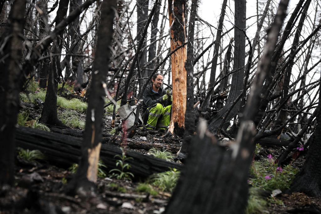 What Is a Microclimate? Tiny Ecosystems Help Entire Species Thrive