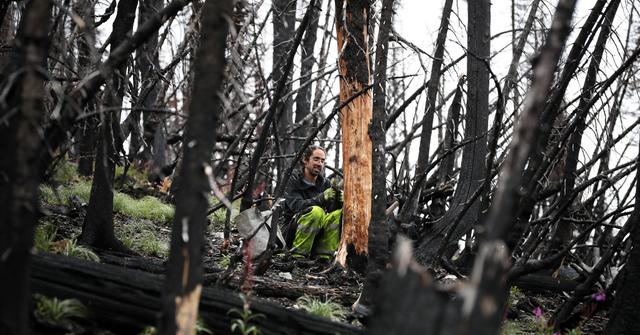 What Is a Microclimate? Tiny Ecosystems Help Entire Species Thrive