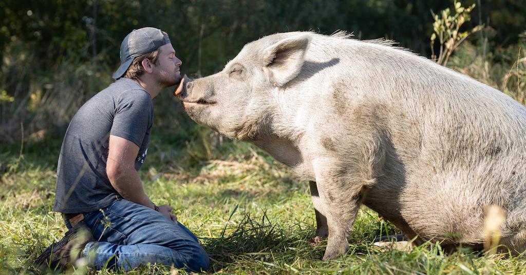 Animal Planet’s ‘Saved by the Barn’ Documents Farmed Animal Sanctuary