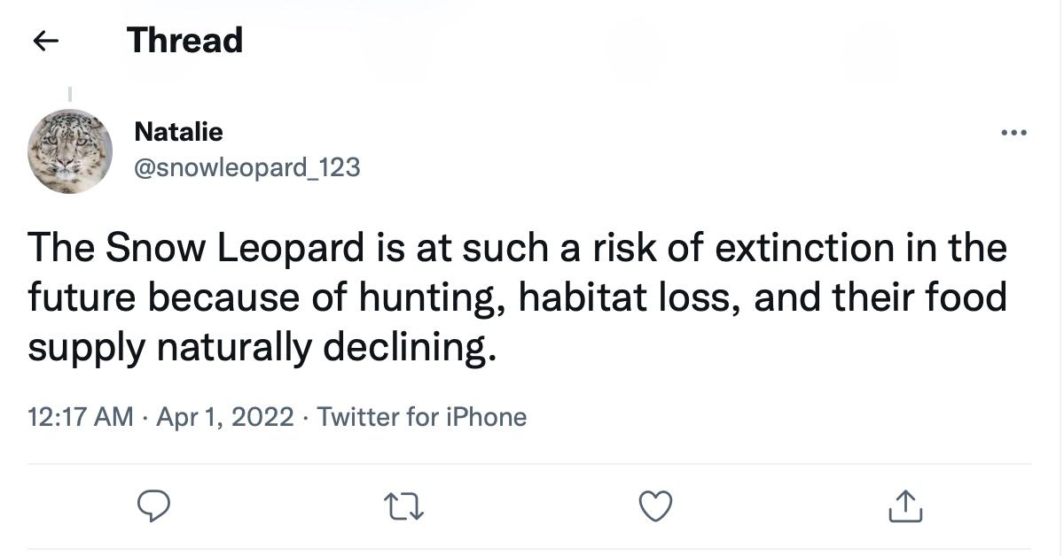 Why Are Snow Leopards Endangered? What's Their Current Status — And Why?