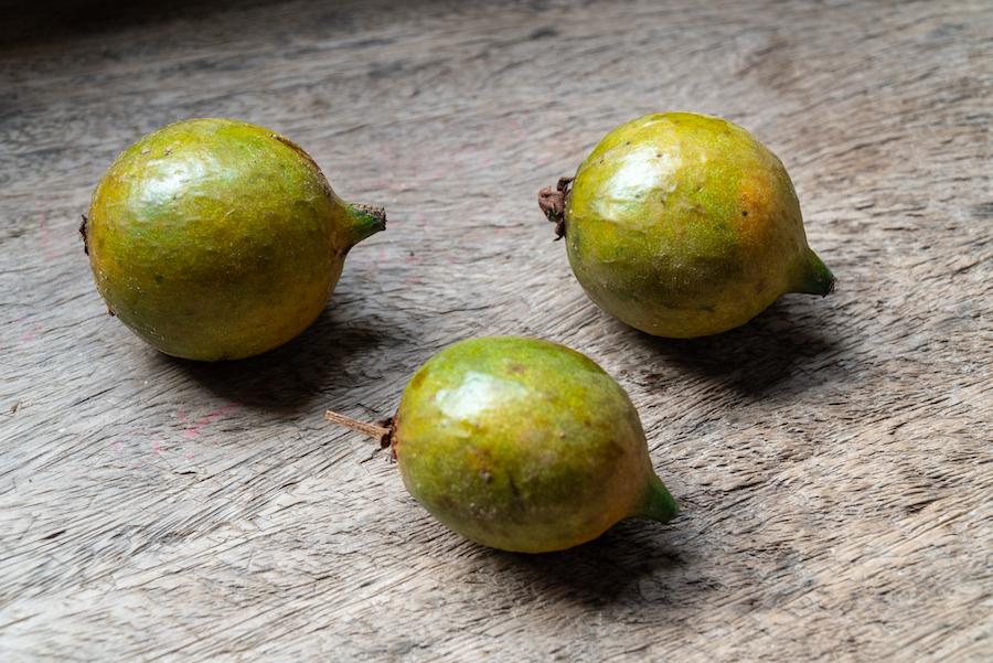 Macauba and Pongamia Tree Oils Could Replace Palm Oil