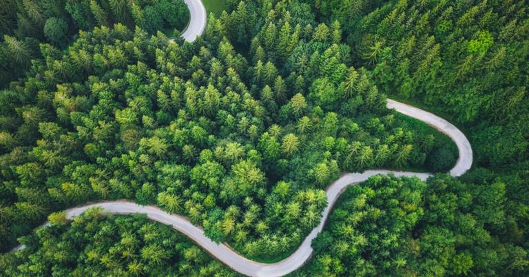 What Is Prince William's Earthshot Prize and How Will It Help the ...