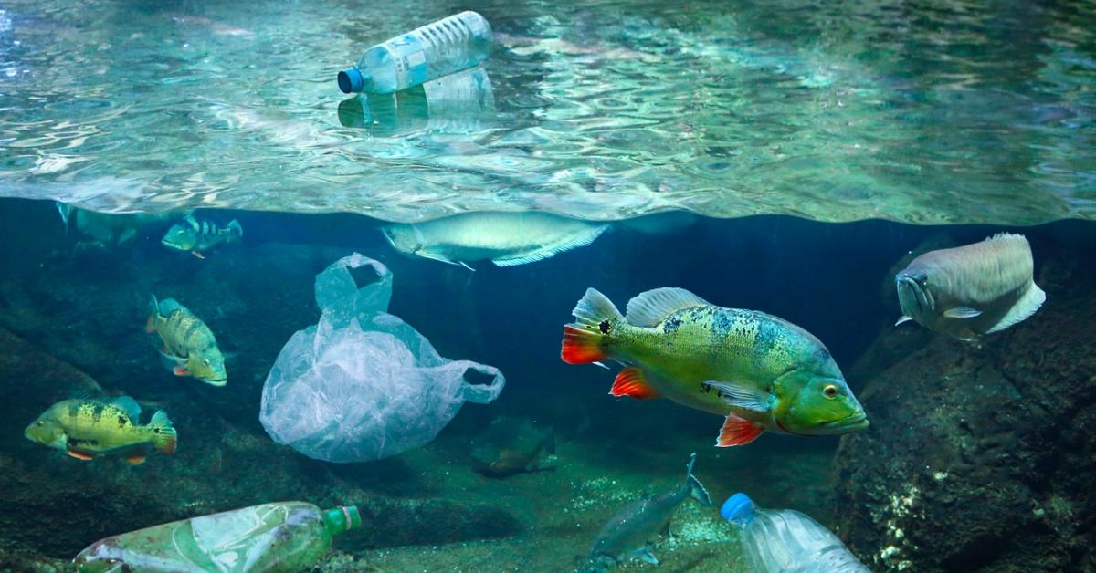 Scientists Create Radical Biodegradable, Self-Healing Plastic