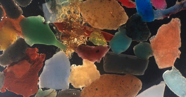 Plastic-Eating Bacteria Could Help Fight the Pollution Crisis