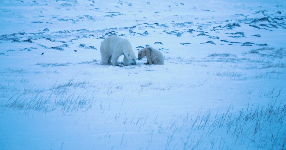 Why Sea Level Rise Is Bad