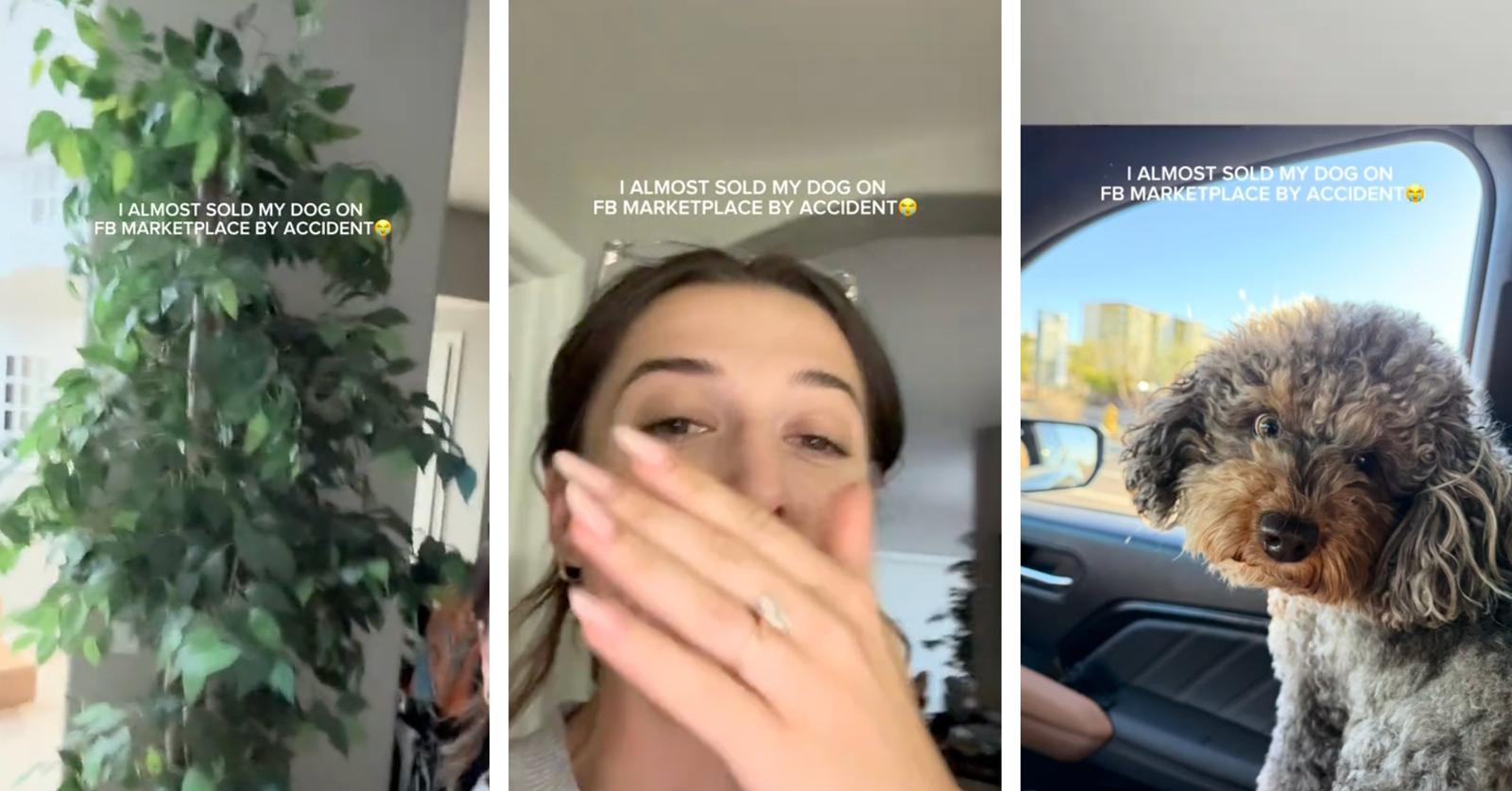 Woman Almost Sells Her Dog on Facebook Marketplace