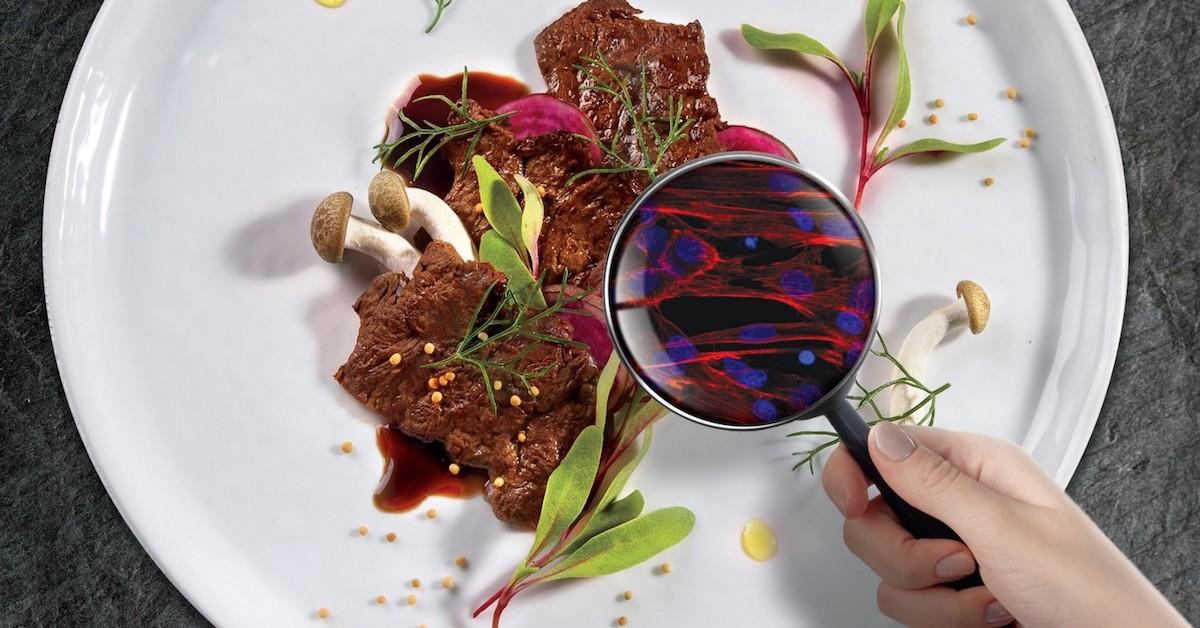Lab-Grown Steak Is Now Being Grown on "Soy Scaffolding"