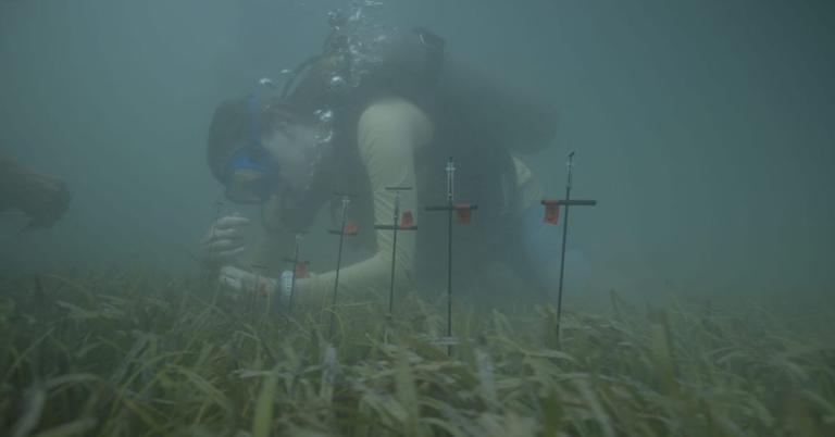 How to Watch 'Solving for Zero,' the New Bill Gates Climate Documentary