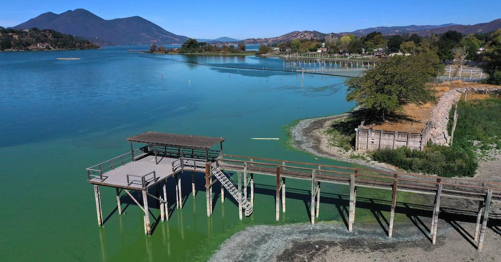 Blue-Green Algae Symptoms, if You Happen to Come Into Contact With It