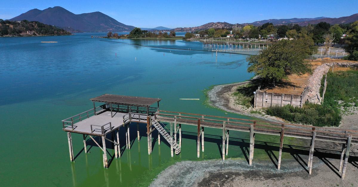 Blue-Green Algae Symptoms, if You Happen to Come Into Contact With It