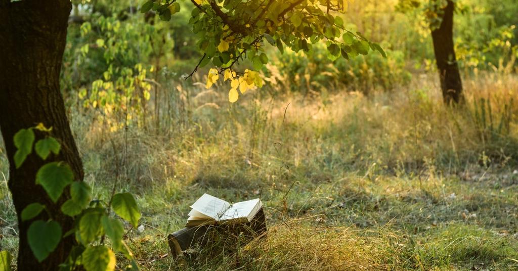 Poems to Celebrate Earth Day