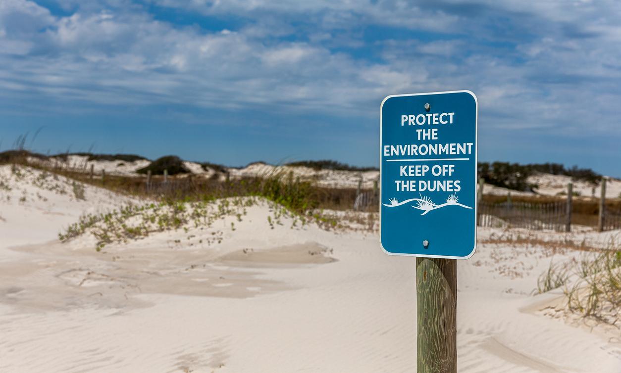 What Are the Goals of Ecological Restoration?