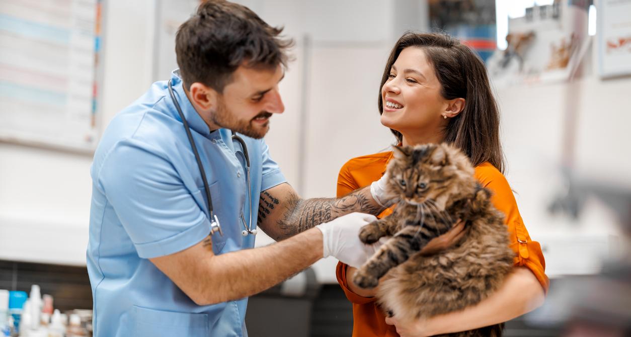 Science Says Cats Smell Good Because of Their Instincts