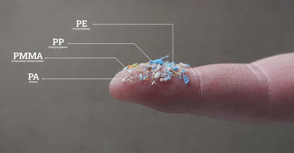 Microplastics in Human Blood, Placenta, and More