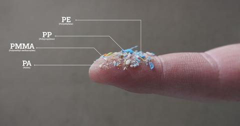 Microplastics in Human Blood, Placenta, and More