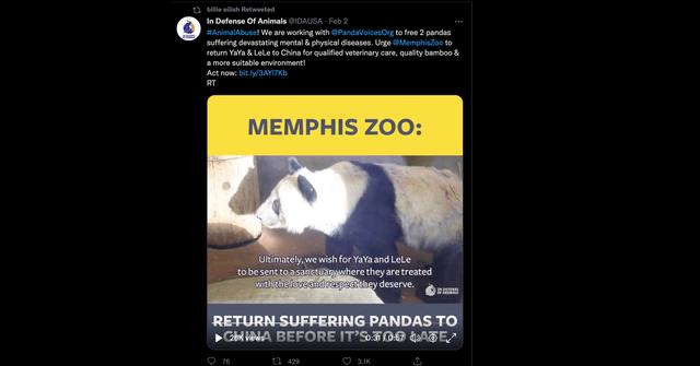 Billie Eilish Urges Memphis Zoo to Free Pandas YaYa and LeLe
