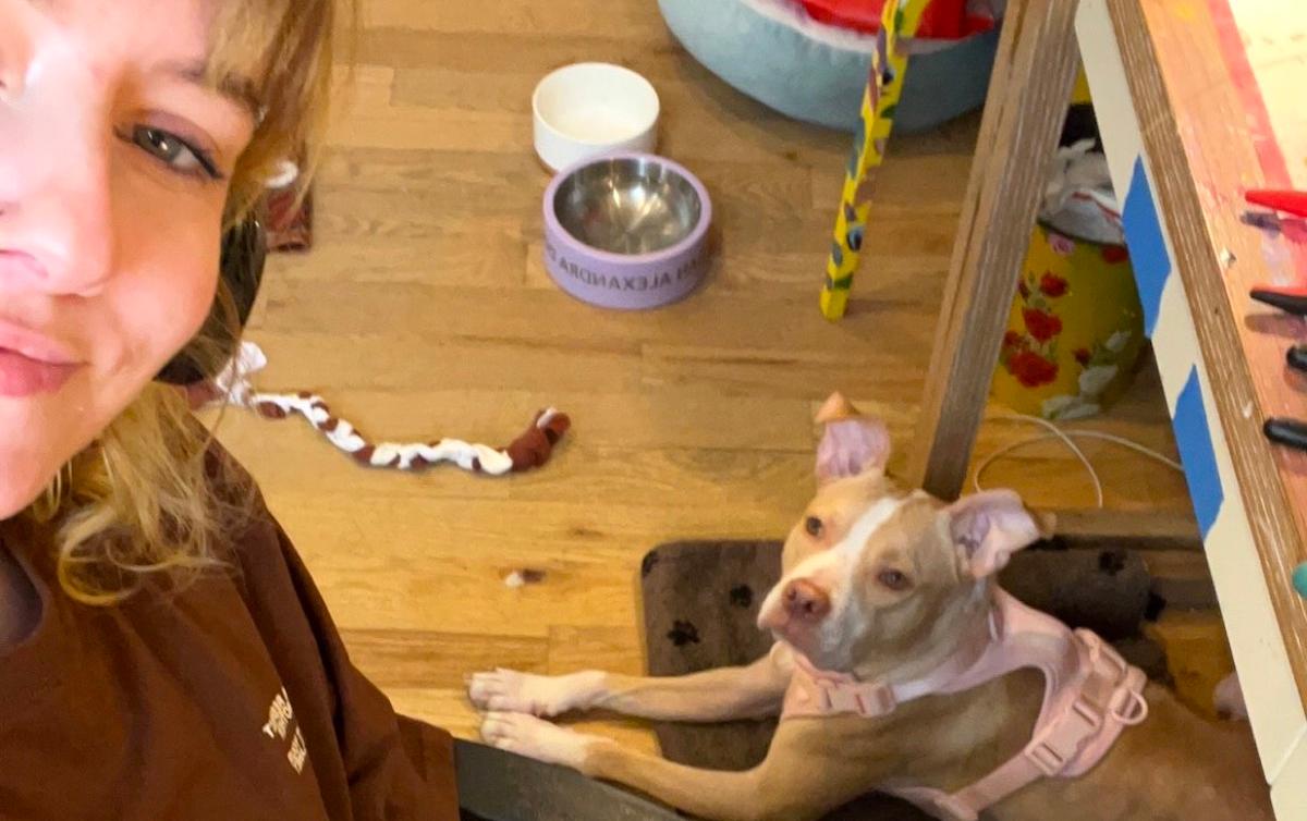 Dog Dumped in Subway Station Is Rescued and Adopted by New Yorker