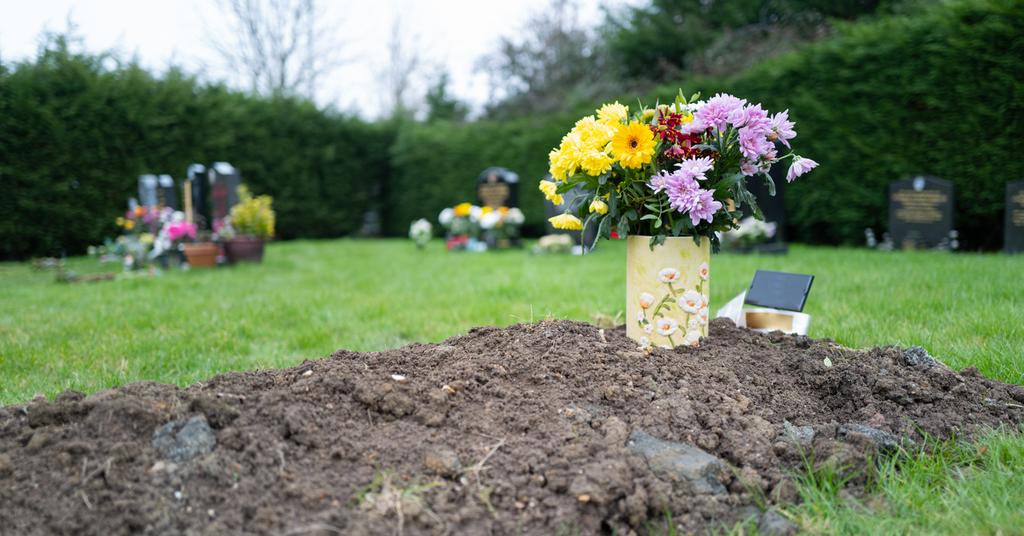 How to Be Buried As a Tree: Benefits, Costs, and More