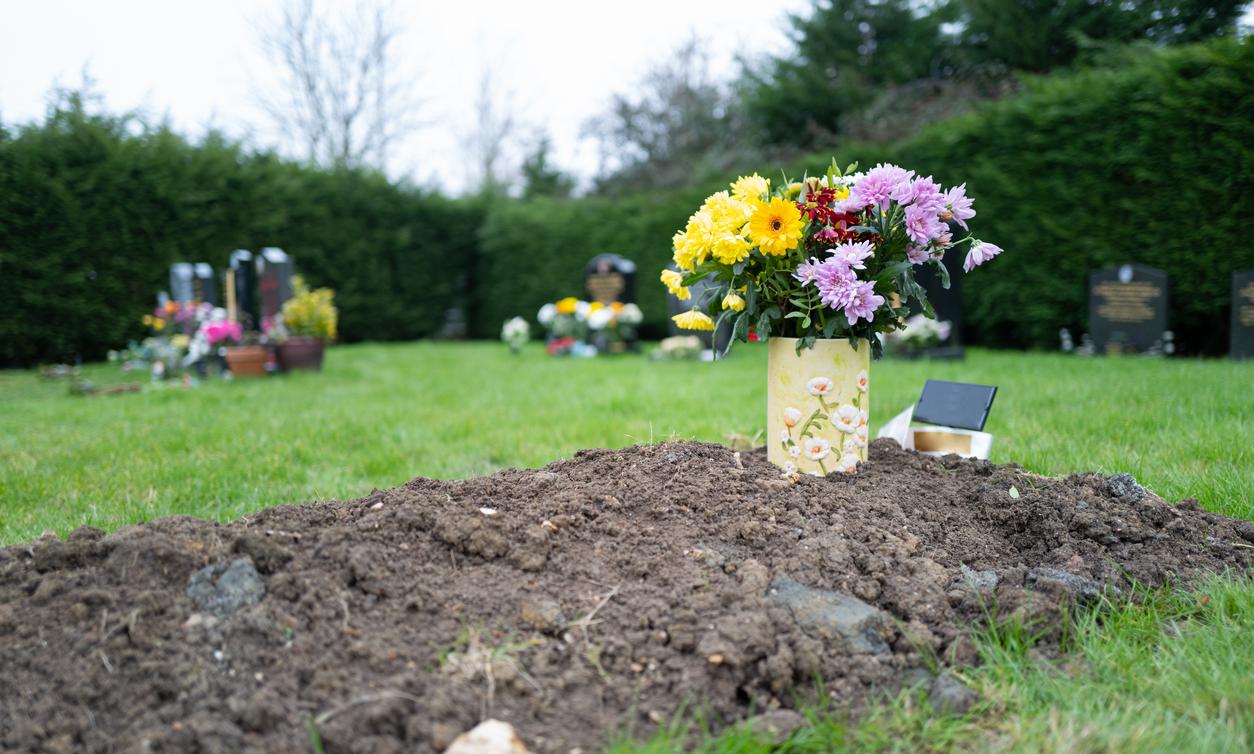How to Be Buried As a Tree: Benefits, Costs, and More