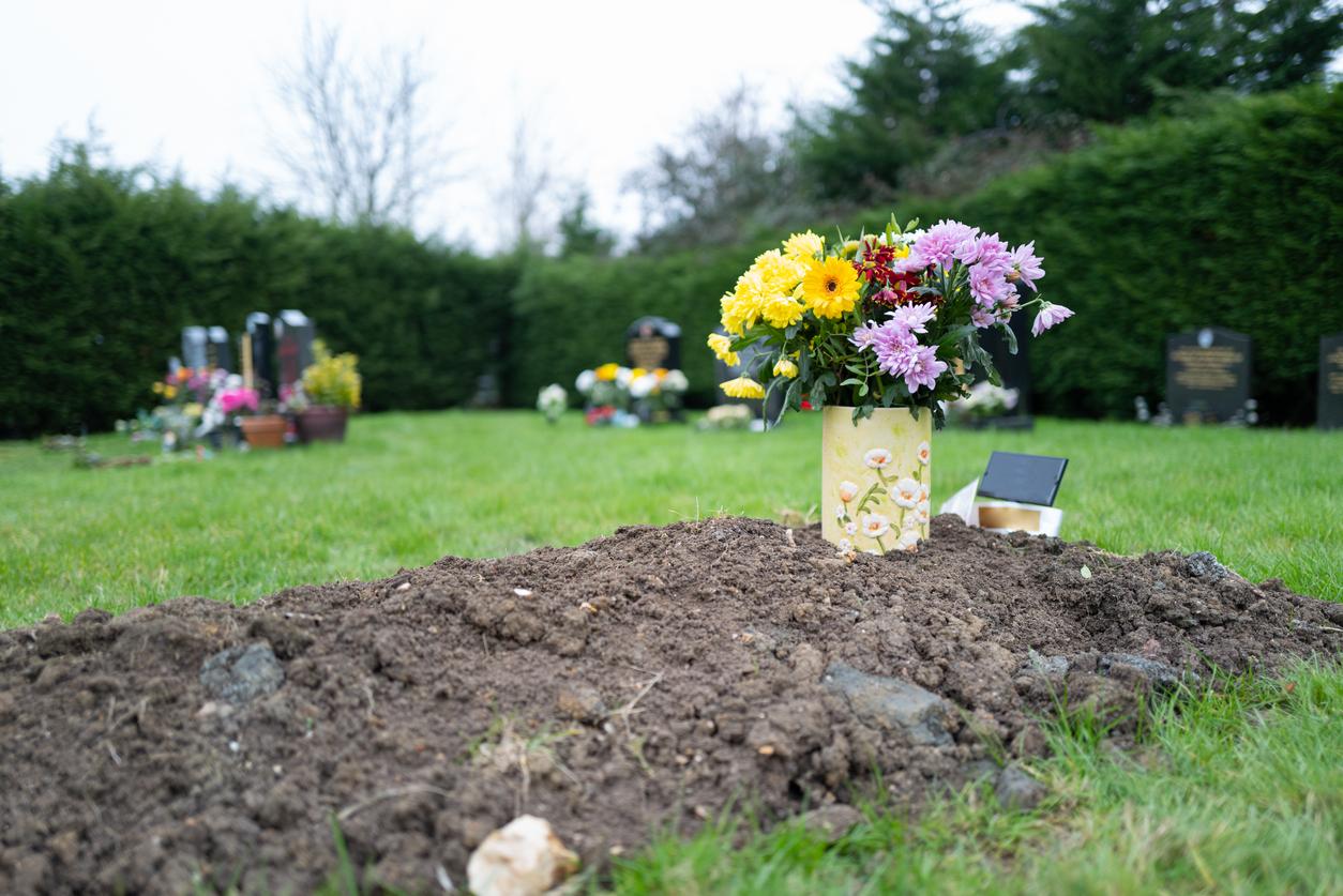 How to Be Buried As a Tree: Benefits, Costs, and More