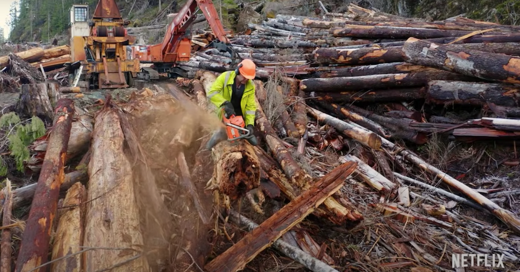 Netflix's ‘Big Timber’ Sheds Light on the Logging Industry, but Is That ...