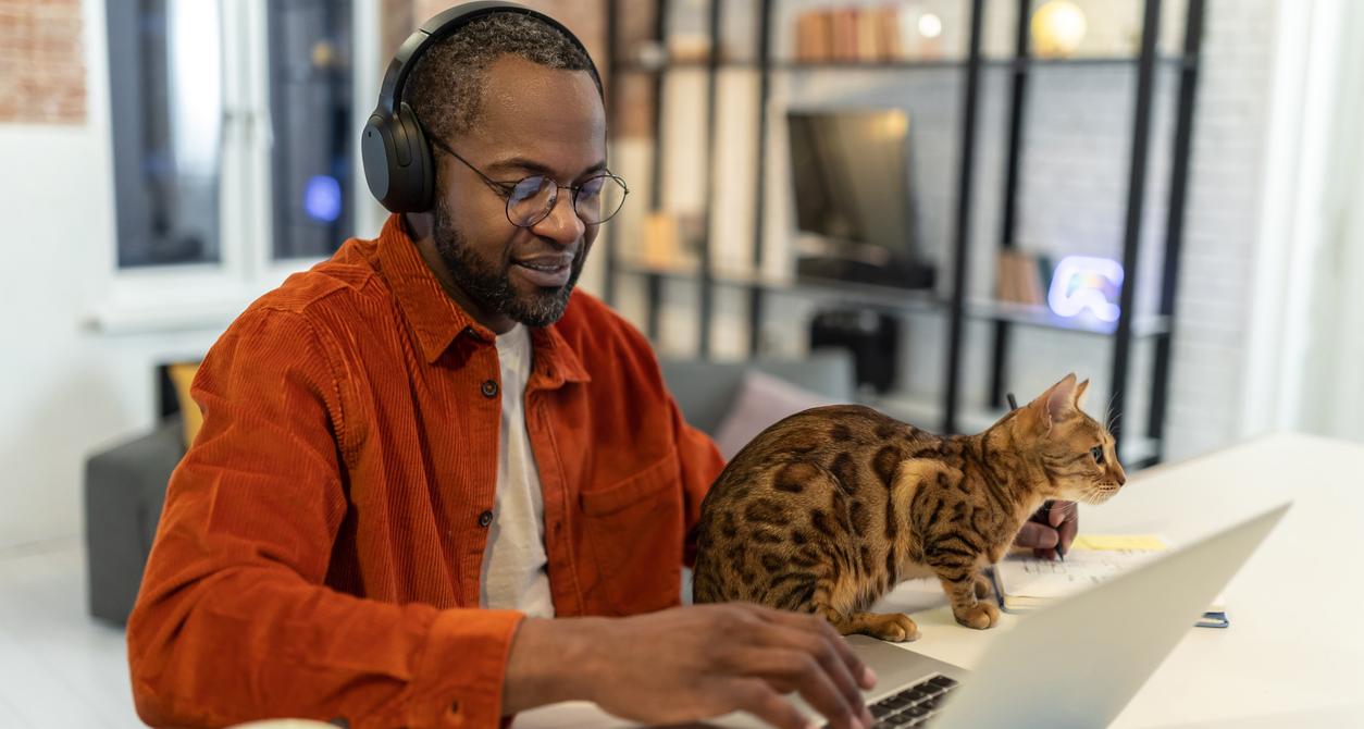 Why Do Cats Knock Things Over? The Method Behind the Madness