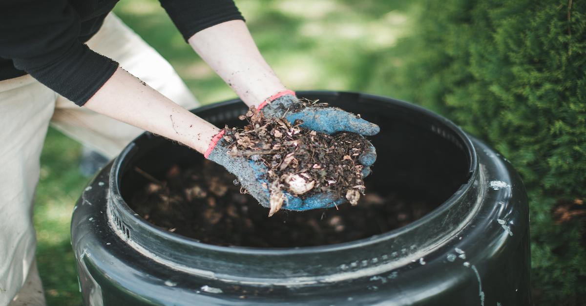 Is Your Compost Finished? Signs Your Compost Is Ready To Use