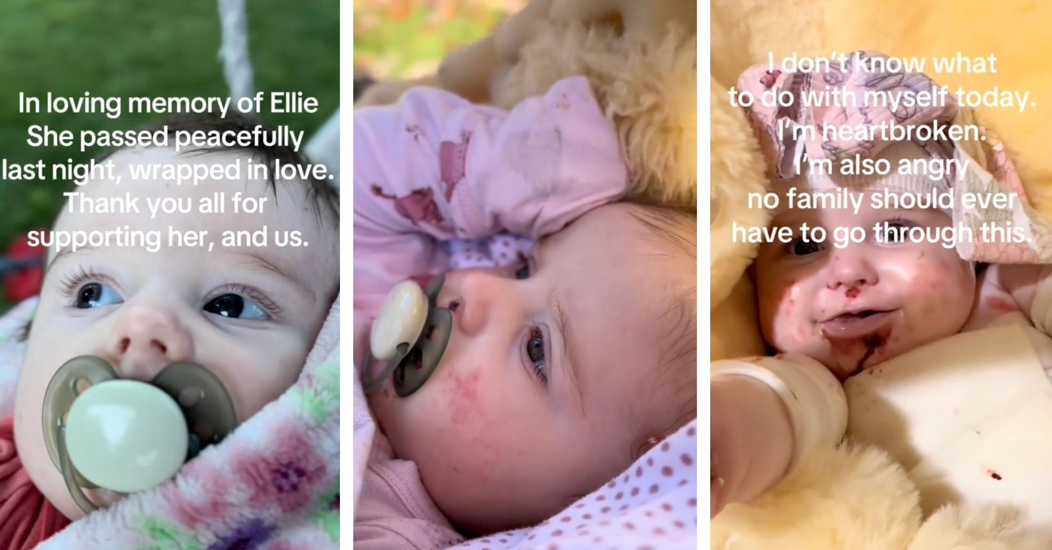 What Happened to Elliana Rose? Details Here