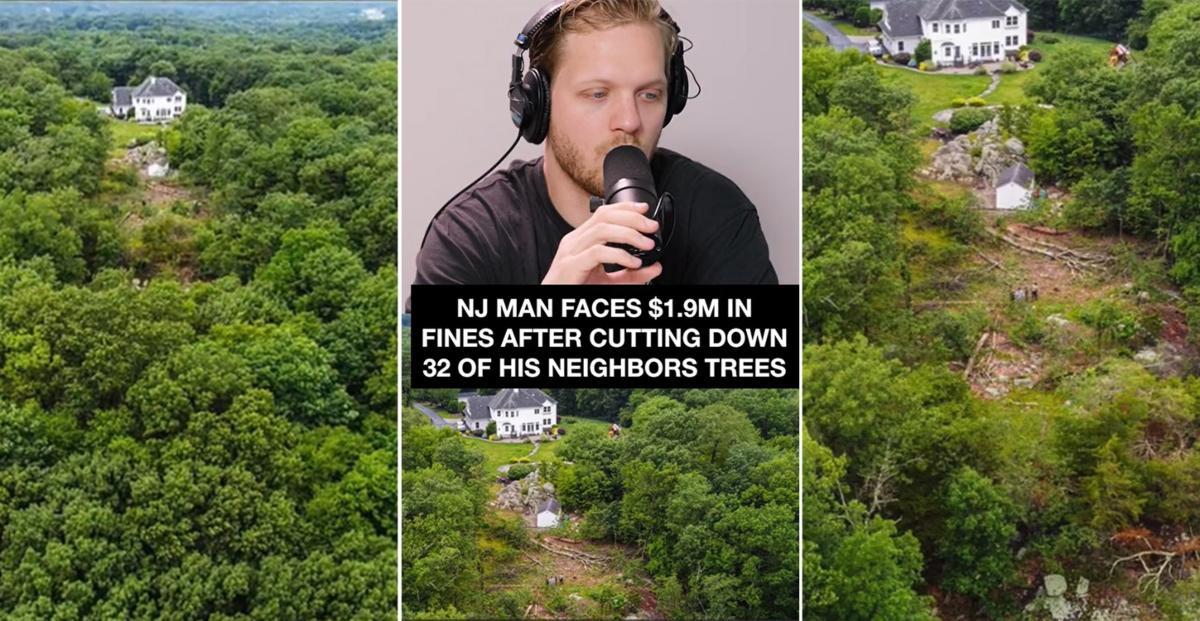 Grant Haber Illegally Removed Trees From Neighbor's Land