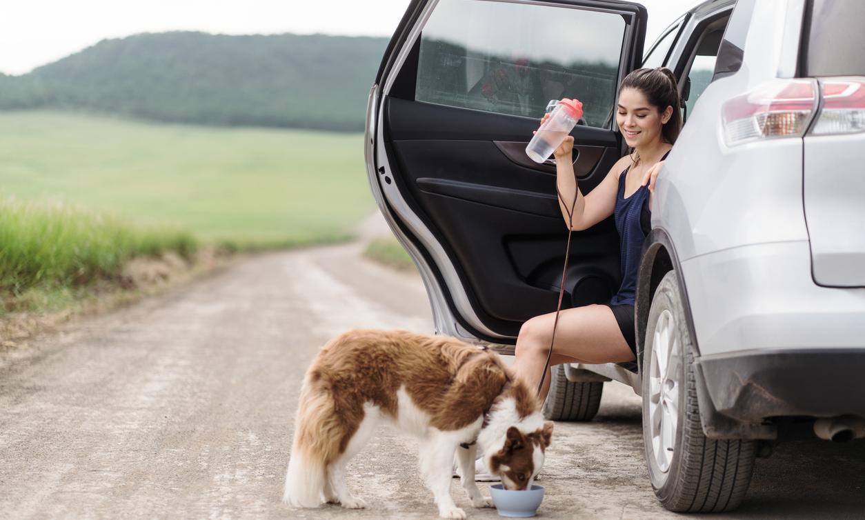 How Long Can a Dog Go Without Water? How to Avoid Dehydration